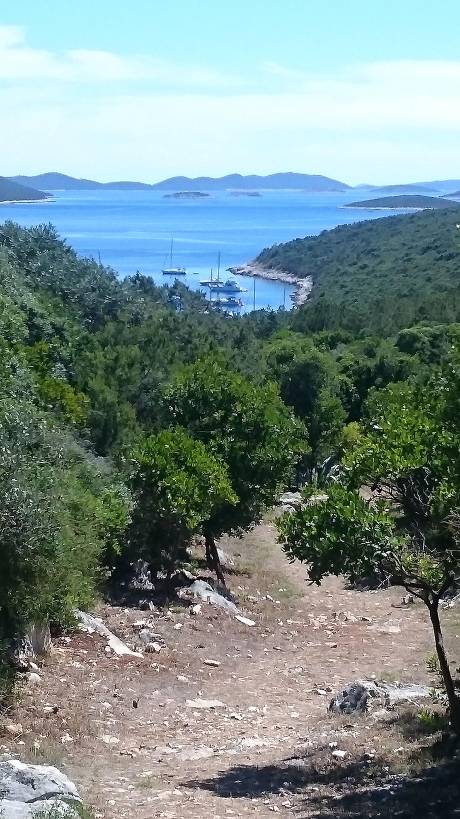 Home | Škarda Island Croatia